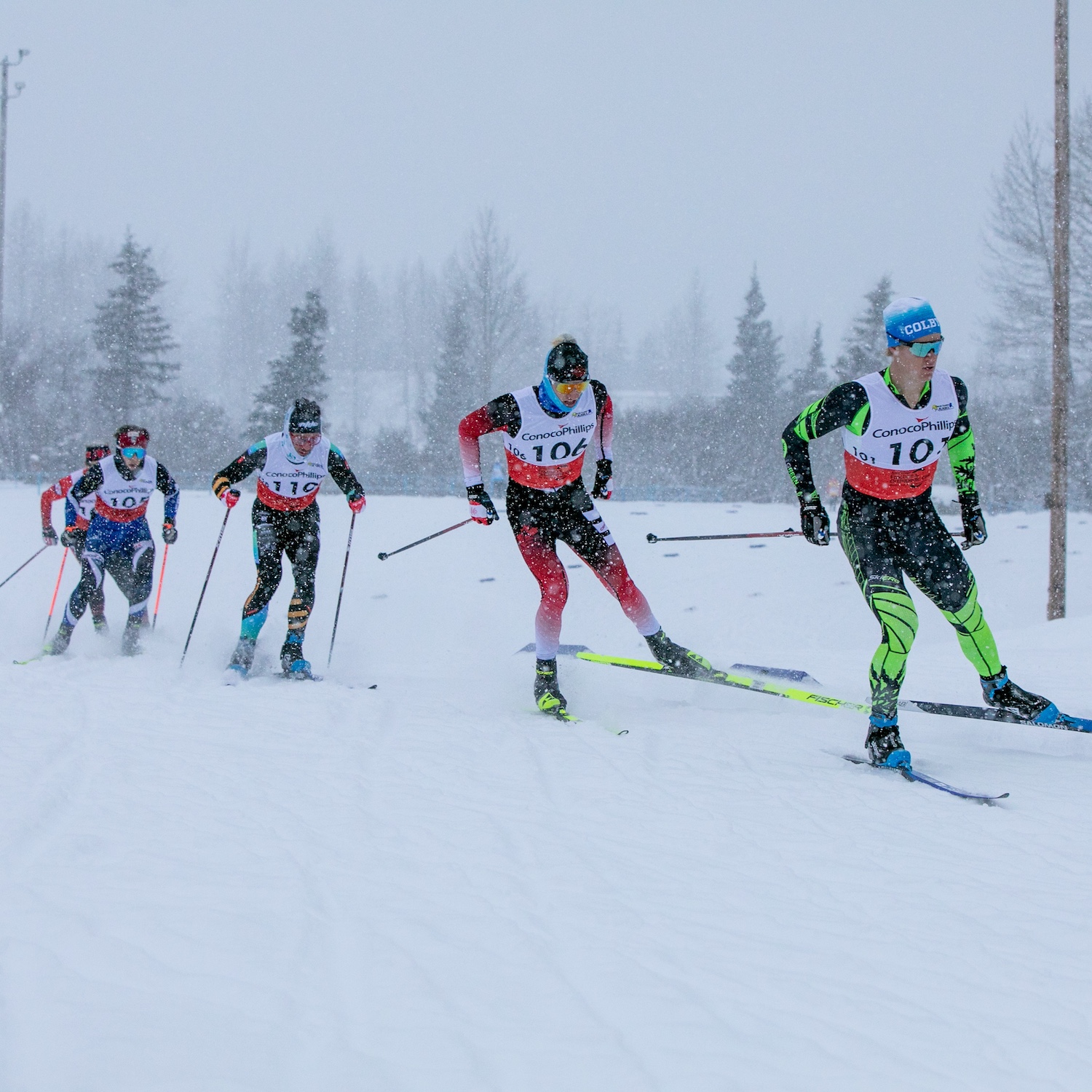 ANCD-1-2169 | Nordic Insights