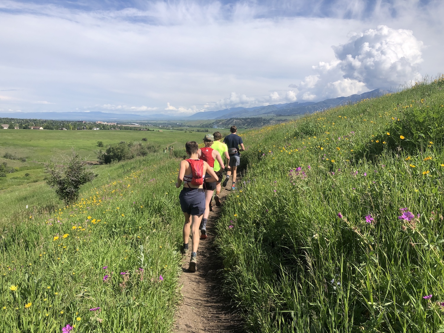 summer trail | Nordic Insights